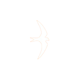 Swift Press | Independent Alliance | Fiction | Good Book Club